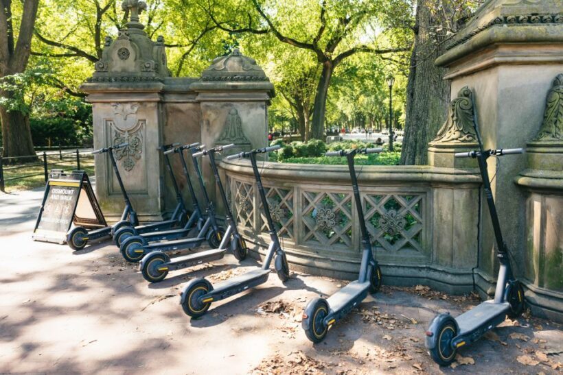 New York City: Central Park Electric Scooter Tour - Who Will Love This Tour?