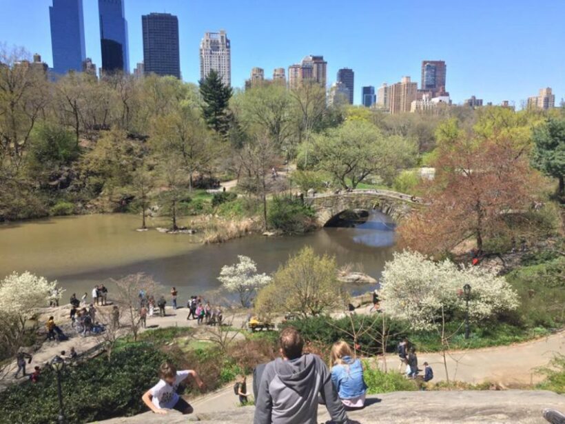 New York City: Central Park Highlights Walking Tour - Key Points
