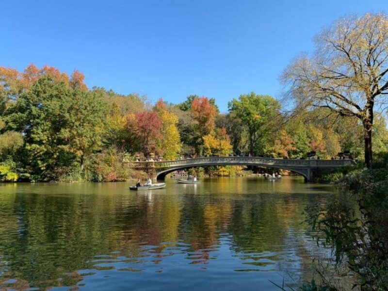 New York City: Central Park Highlights Walking Tour - Who Should Take This Tour?