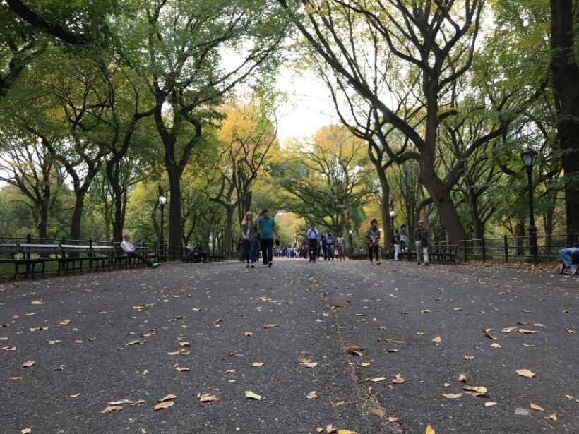 New York City: Central Park Tour by Pedicab - Who Might Want to Consider Other Options?