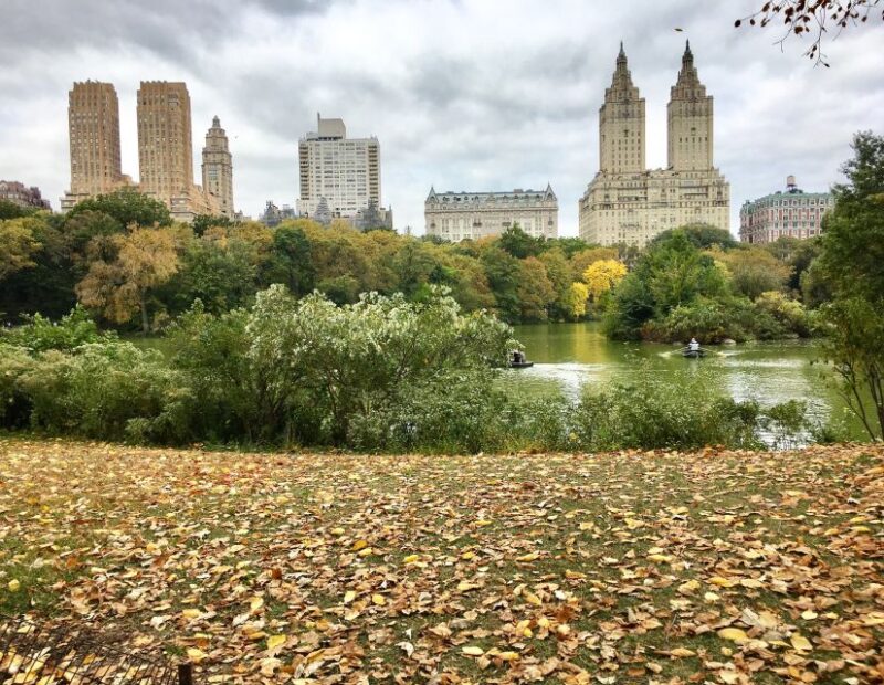 New York City: Central Park Tour by Pedicab - Practical Details and Value