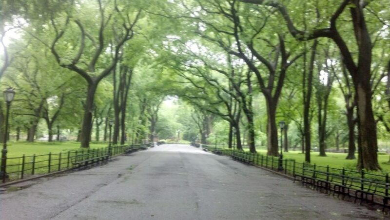 New York City: Central Park Walking Tour - Key Points