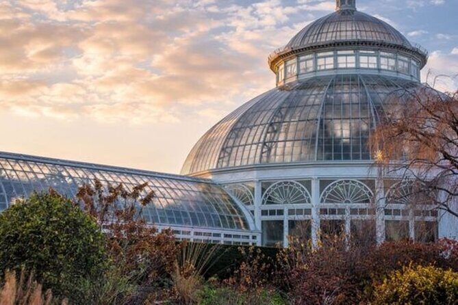 New York City Central Park Walking Tour with a Guide - A Visual and Sensory Journey