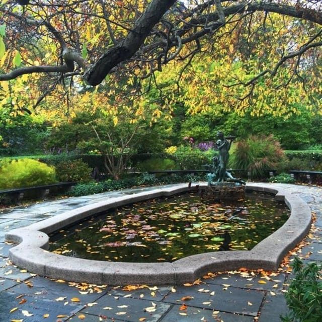 New York City : Central Park Walking Tour With A Guide - The Value of a Private, Customizable Tour