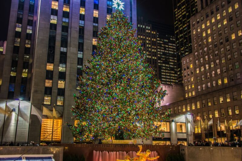 New York City: Christmas Holiday Tour of Manhattan - Who Should Take This Tour?