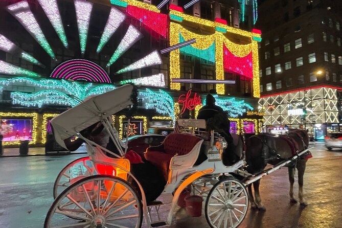 New York City Christmas Lights Private Horse Carriage Ride - Inclusions and Accessibility