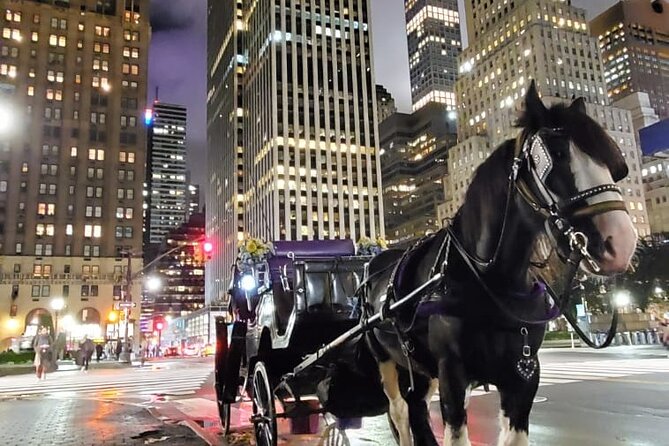 New York City Christmas Lights Private Horse Carriage Ride - Customer Reviews and Feedback