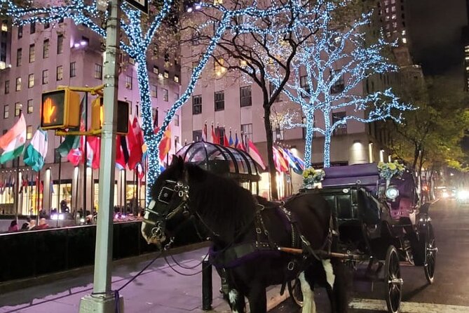 New York City Christmas Lights Private Horse Carriage Ride - Cancellation and Booking Policies