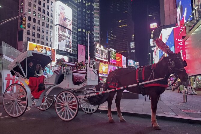 New York City Christmas Lights Private Horse Carriage Ride - Why Choose a Private Horse Carriage Ride