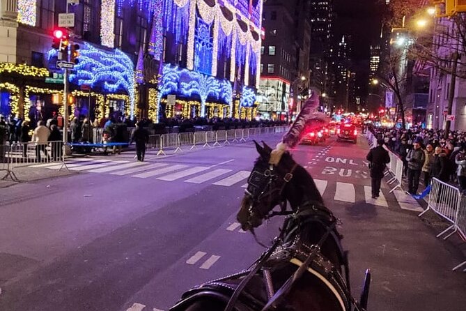 New York City Christmas Lights Private Horse Carriage Ride - Experiencing the Holiday Magic in Central Park