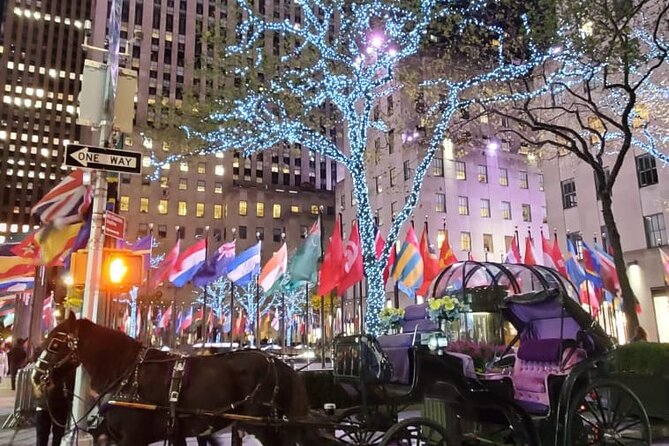 New York City Christmas Lights Private Horse Carriage Ride - Capturing Memorable Moments