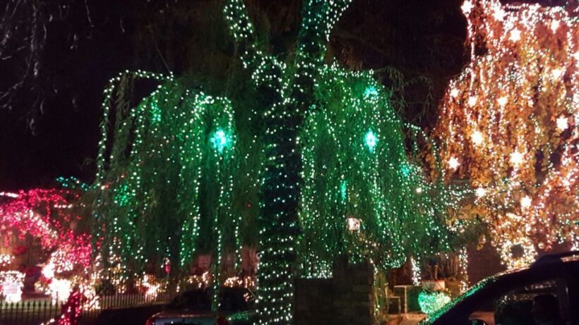 New York City: Dyker Heights Christmas Lights Tour - What the Reviews Say