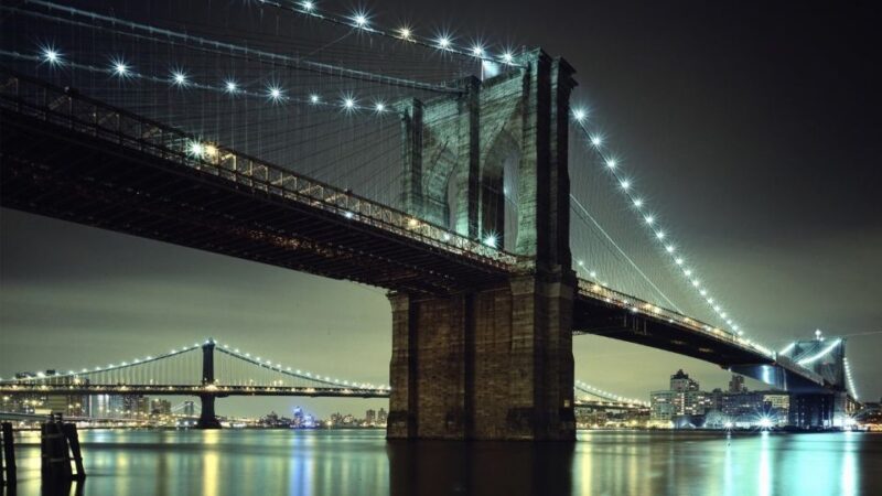 New York City: Dyker Heights Christmas Lights Tour - The Experience from the Traveler’s Perspective