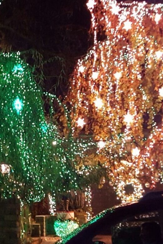 New York City: Dyker Heights Christmas Lights Tour - Final Thoughts