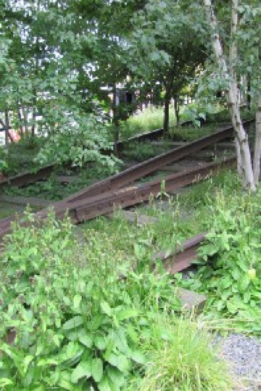 New York City: High Line Walking Tour - Practical Tips for Participants