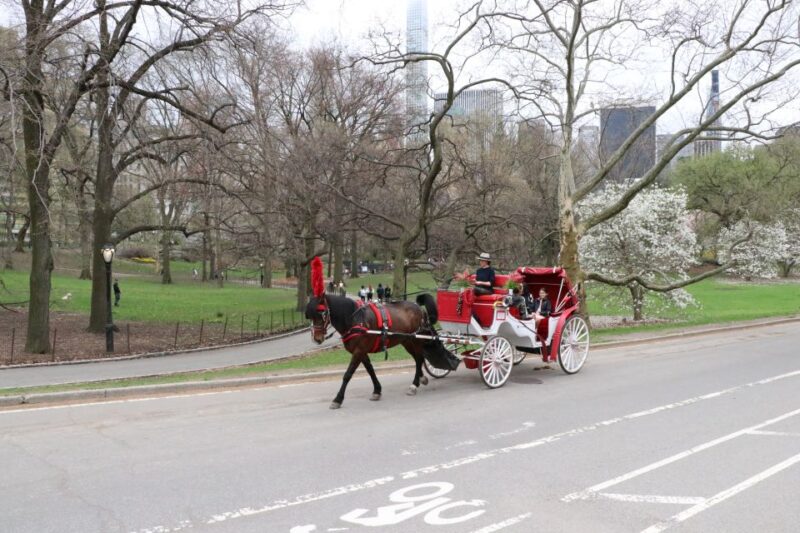 New York City: Horse Carriage Ride through Central Park - Is It Worth the Price?