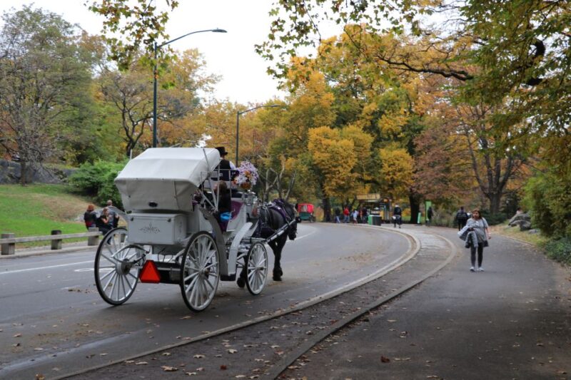 New York City: Horse Carriage Ride through Central Park - Who Is This Experience Best For?
