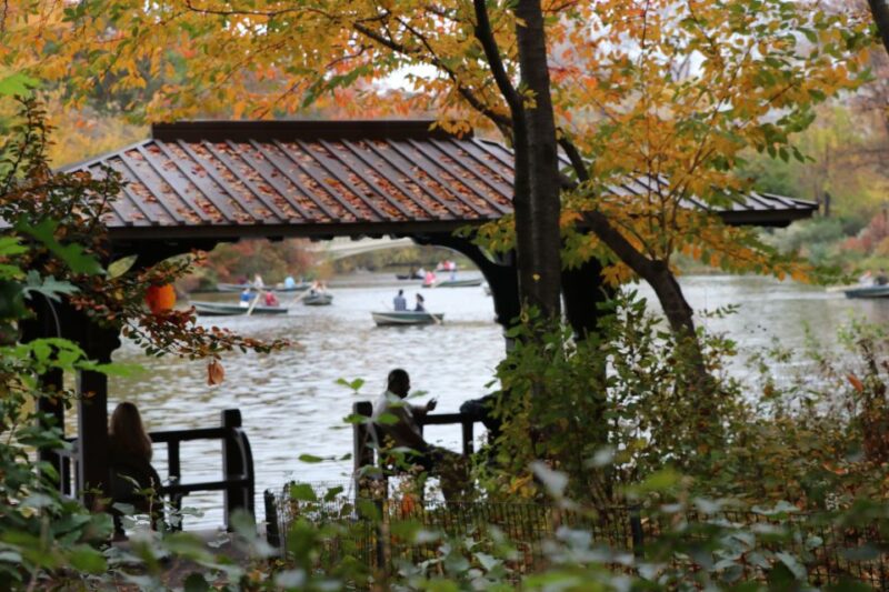 New York City: Horse Carriage Ride through Central Park - Practical Tips for Your Ride