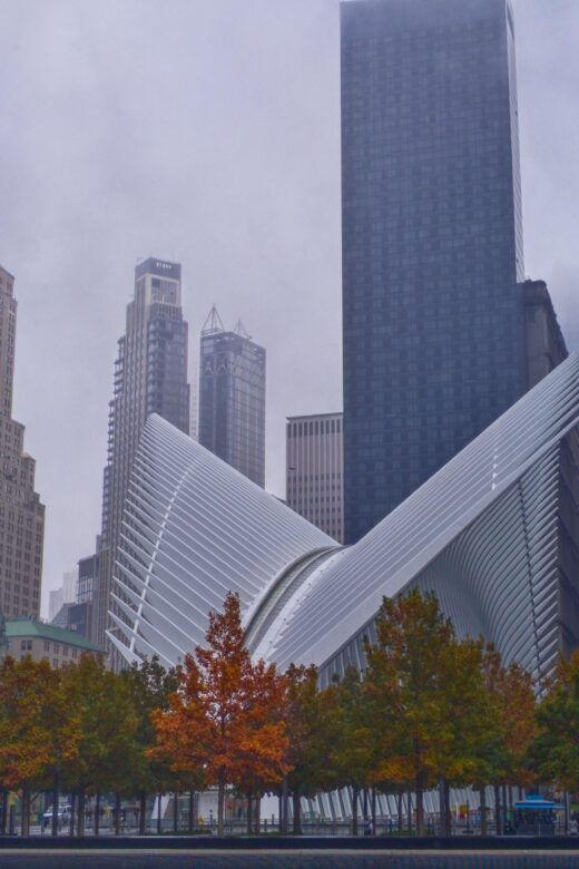 New York City: Private Highlights Tour by Minivan - Deep Dive into the Details