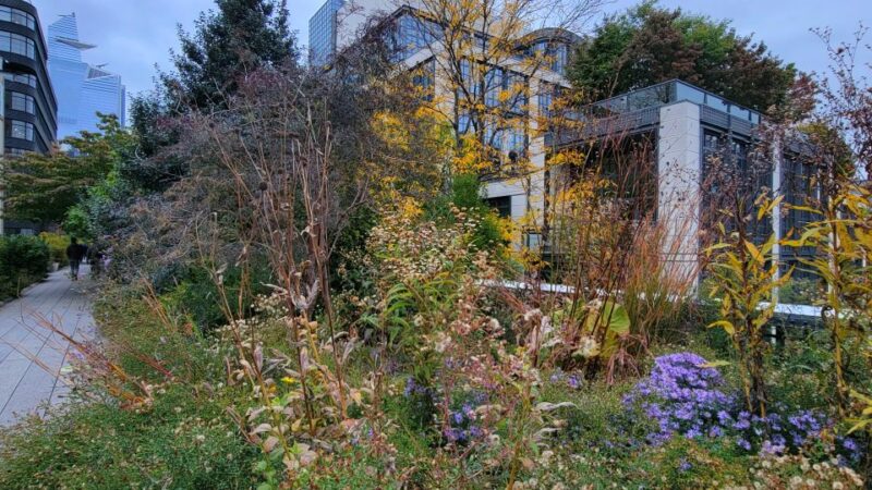 New York City: Secrets Of High Line Park Walking Tour - Analyzing the Cost: Is it Worth the $47?