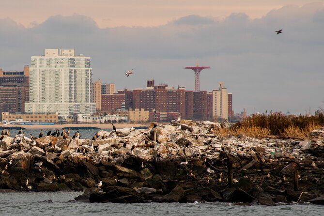 New York City Sightseeing and Seals Boat Tour - Final Thoughts