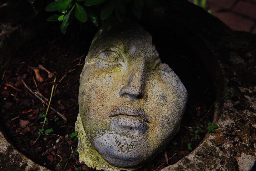 New York City: The Garden Photo Tour - A Closer Look at the Garden Photo Tour Experience