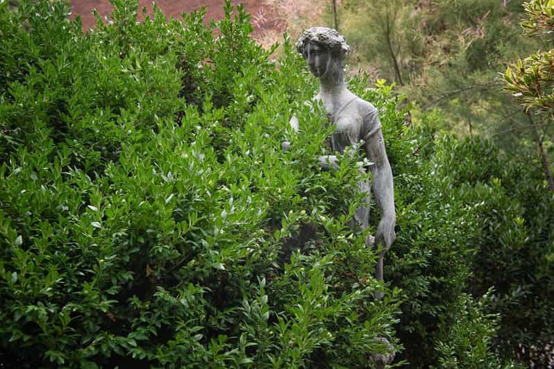 New York City: The Garden Photo Tour - Authentic Experiences and Genuine Feedback