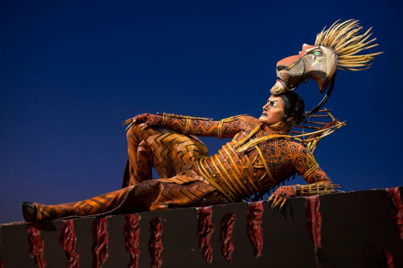 New York City: The Lion King Broadway Entry Tickets - Who Should Consider This Experience?