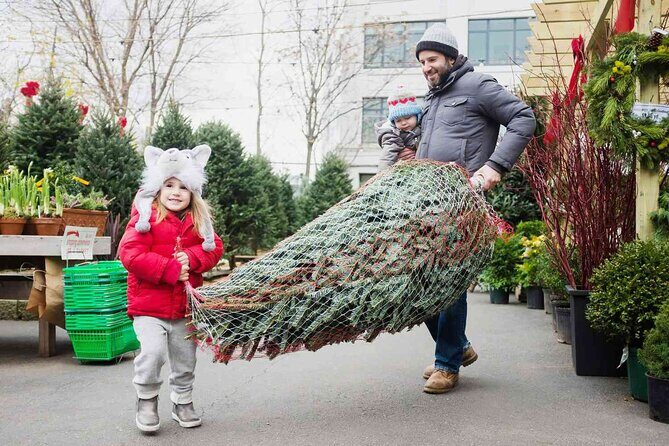 New York City's Iconic Christmas Tour - An In-Depth Look at the Tour Itinerary