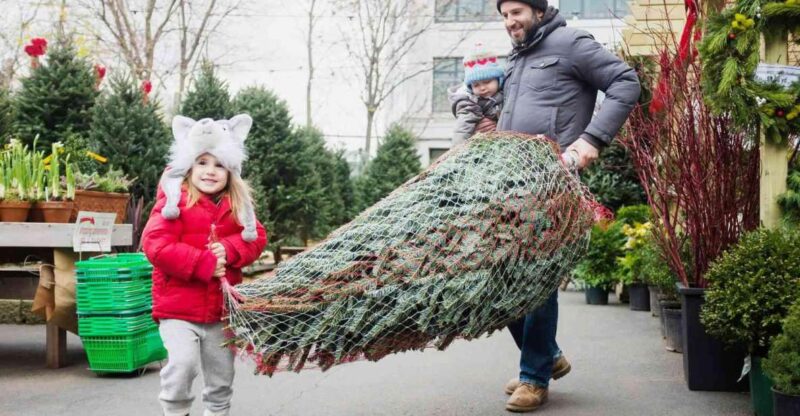 New York Citys Iconic Christmas Tour - Practical Details: What You Need to Know