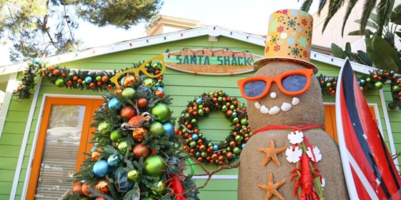 New York Citys Iconic Christmas Tour - Authentic Experiences and What Travelers Say