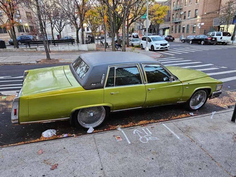 New York: Hip-Hop, Murals, Sports, and Dangerous Neighborhoods Tour - What the Reviews Say