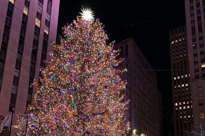 New York Holiday Lights and Sights Walking Tour - What You Can Expect from the Tour