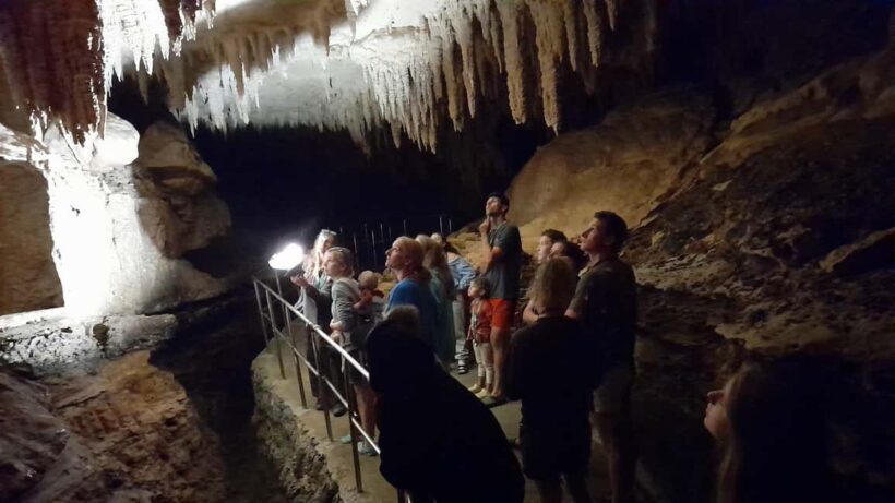 New Zealand: Milky Way Glowworm Cave Tour - An In-Depth Look at the Milky Way Glowworm Cave Tour