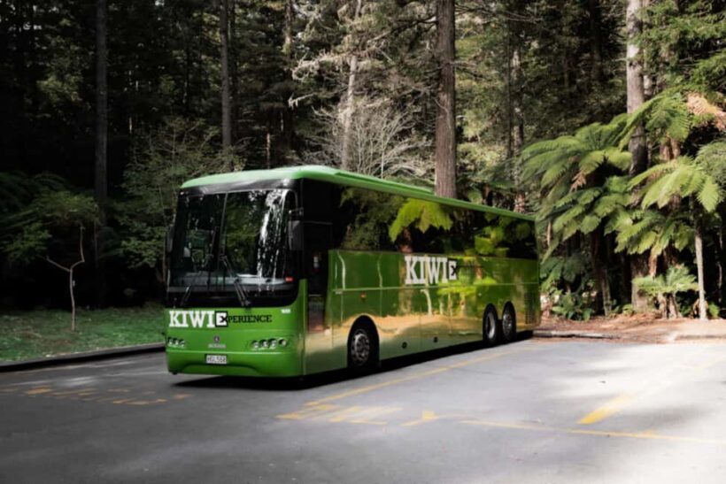 New Zealand: National Hop-On Hop-Off Pass - An In-Depth Look at the New Zealand Hop-On Hop-Off Experience