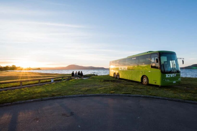 New Zealand: North Island Hop-On Hop-Off Pass - Key Points