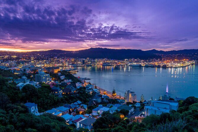 New Zealand Wellington Airport (WLG) to Wellington City Centre - An Honest Look at Wellington Airport Transfers