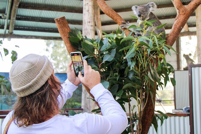 Newcastle: Animal Lovers Tour - Kangaroos, Dolphins & more! - An In-Depth Look at the Tour Experience