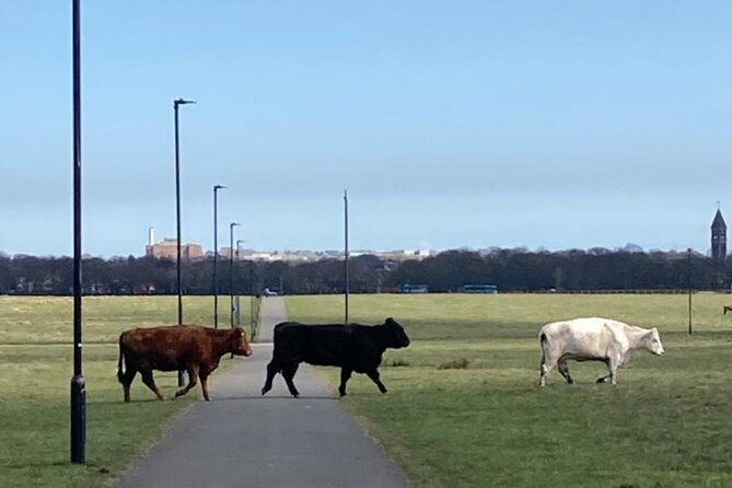 Newcastle Cycling Tour - Pricing and Value