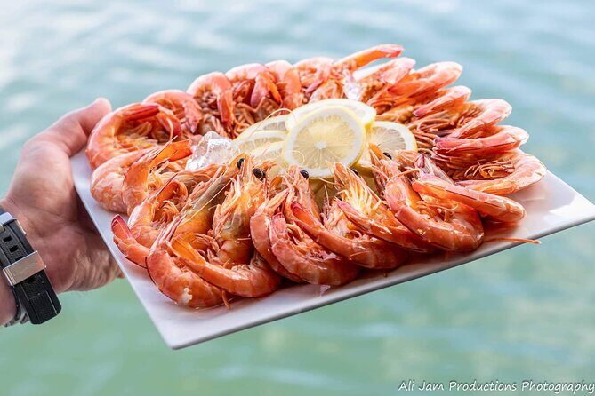 Newcastle Harbour Luncheon Cruise - The Sum Up: Is This Cruise Worth It?