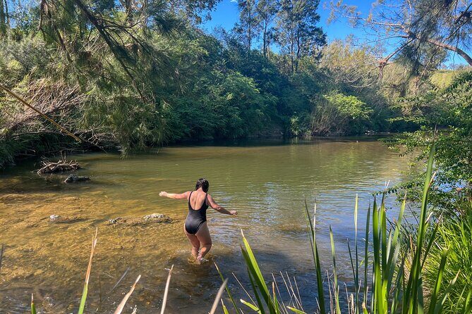 Newcastle: Hunter Valley River & Farm Tour with BBQ - Key Points