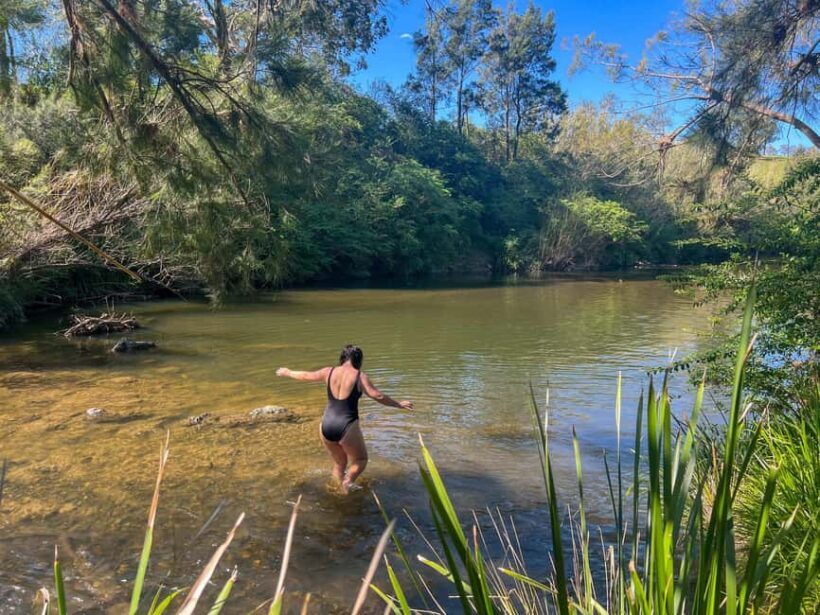 Newcastle: Hunter Valley River & Farm Tour with BBQ - Discovering Hunter Valley’s Hidden Charms