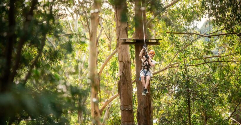 Newcastle: Tree Ropes Course Adventure - An Overview of the Experience