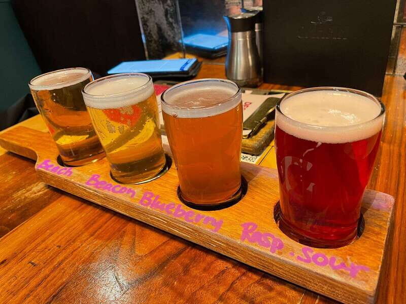 Newfoundland Beer Tasting Tour in St. John's - The Experience: What to Expect