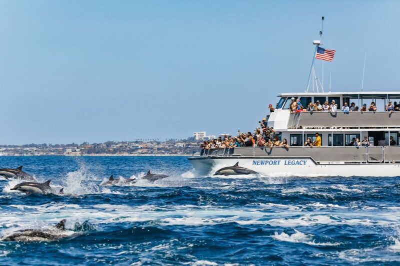 Newport Beach: 2-Hour Whale Watching Tour - Introduction