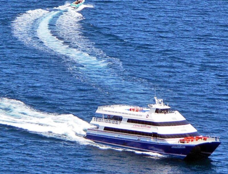 Newport Beach: Ferry Ticket to/from Catalina Island - What Makes the Ferry Stand Out