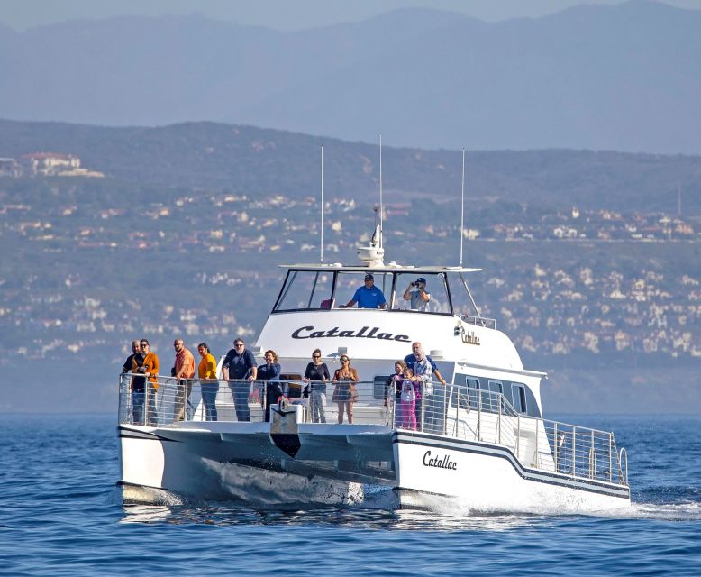 Newport Beach: Luxury Whale Watching Catamaran Cruise - The Guides and Crew: Knowledge and Enthusiasm Matter