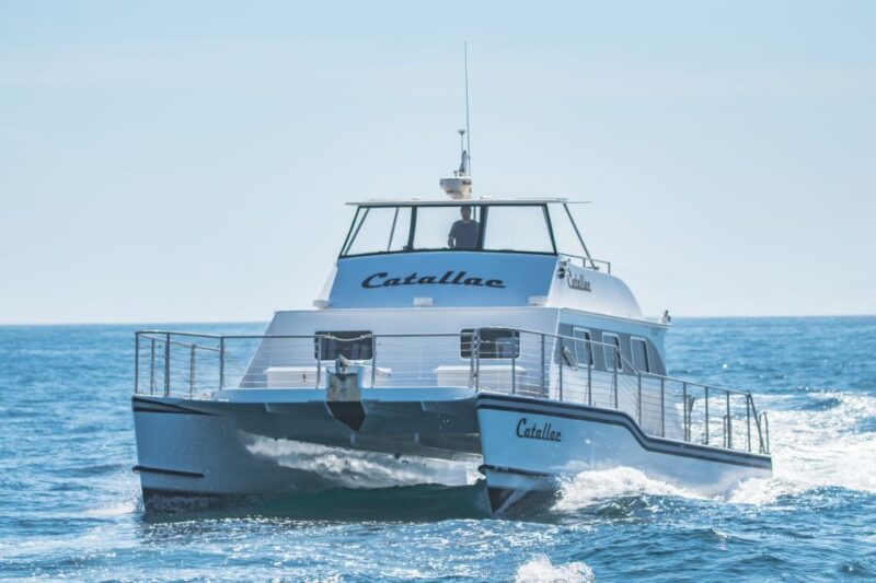 Newport Beach: Luxury Whale Watching Catamaran Cruise - FAQ