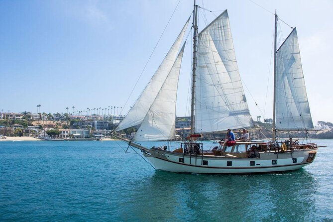 Newport Beach Whale and Dolphin Watching Cruise - An In-depth Look at the Newport Beach Whale and Dolphin Watching Cruise