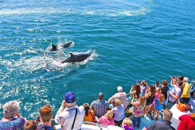 Newport Beach Whale and Dolphin Watching Cruise - FAQs
